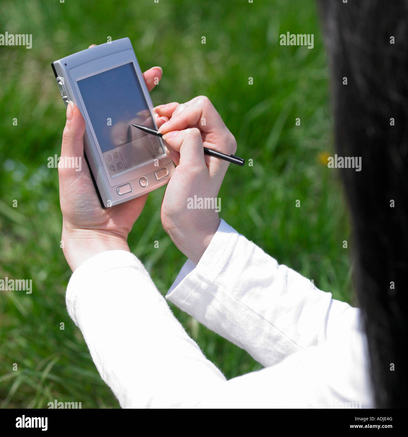 a woman doing something with a PDA on the grass Stock Photo - Alamy