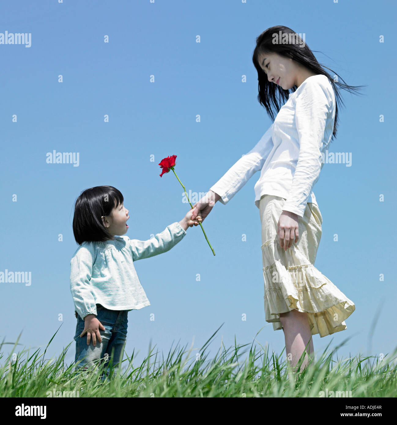a woman giving a rose to a child Stock Photo - Alamy