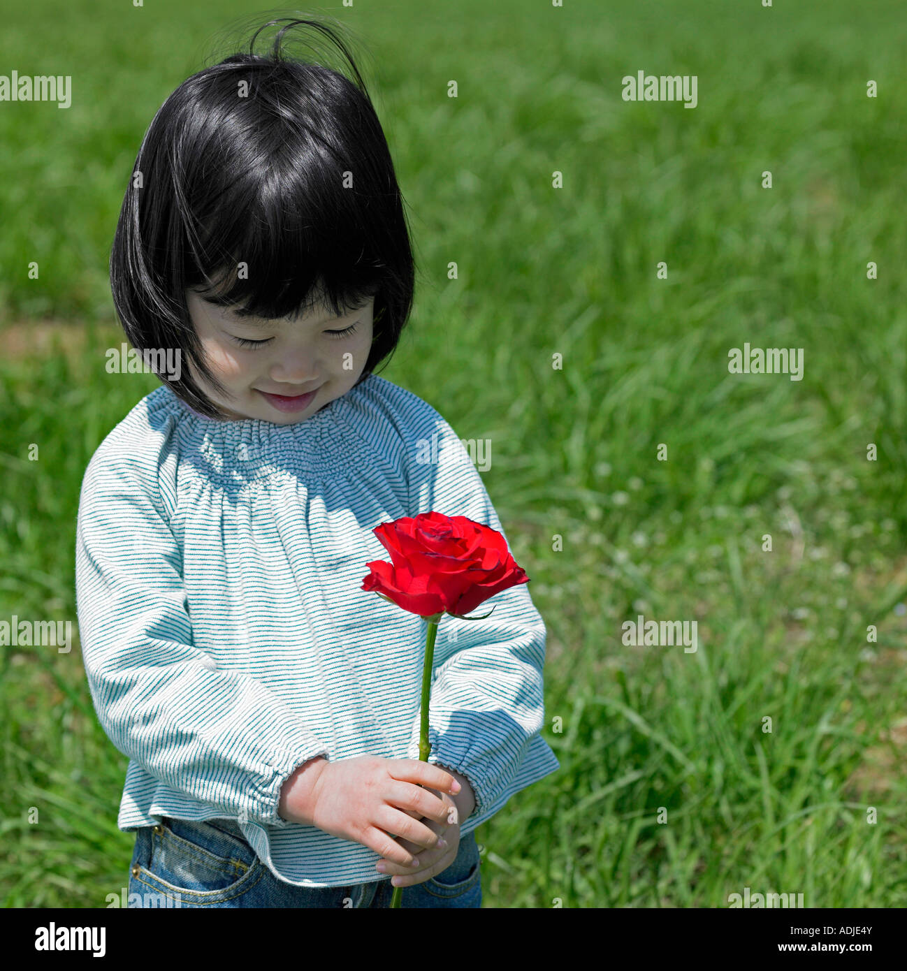a child holding a rose Stock Photo - Alamy