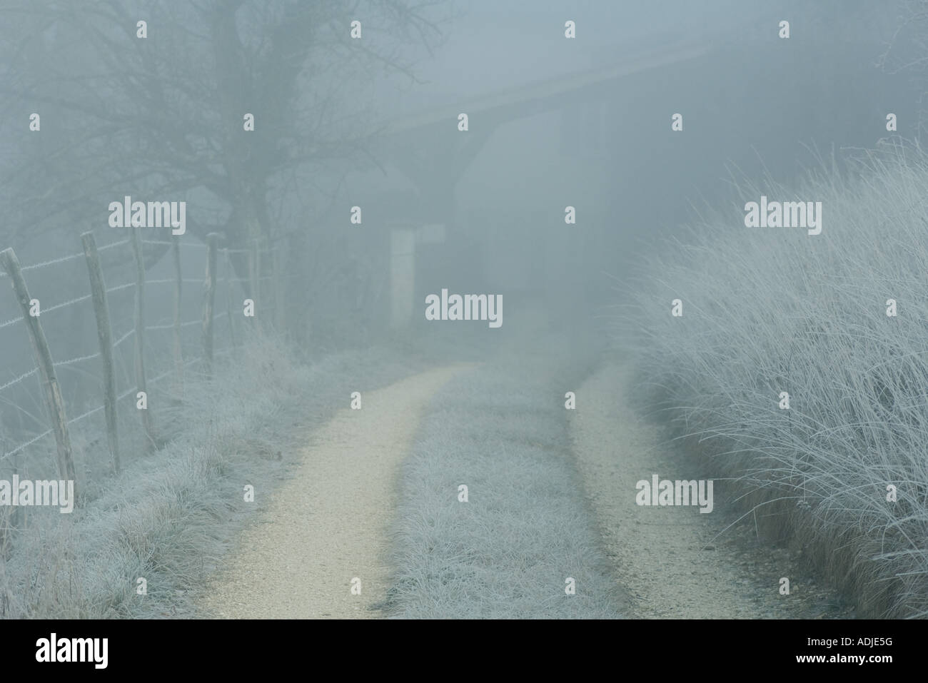 Frost covered landscape with dirt road and fence Stock Photo - Alamy