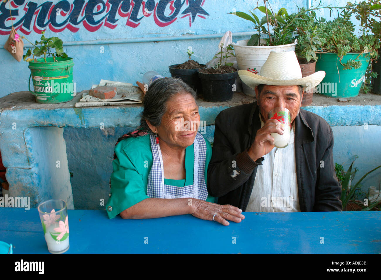 Indigenous Mexicans Pulqueria bar in Cholula Mexico serving pelqueLocal ...