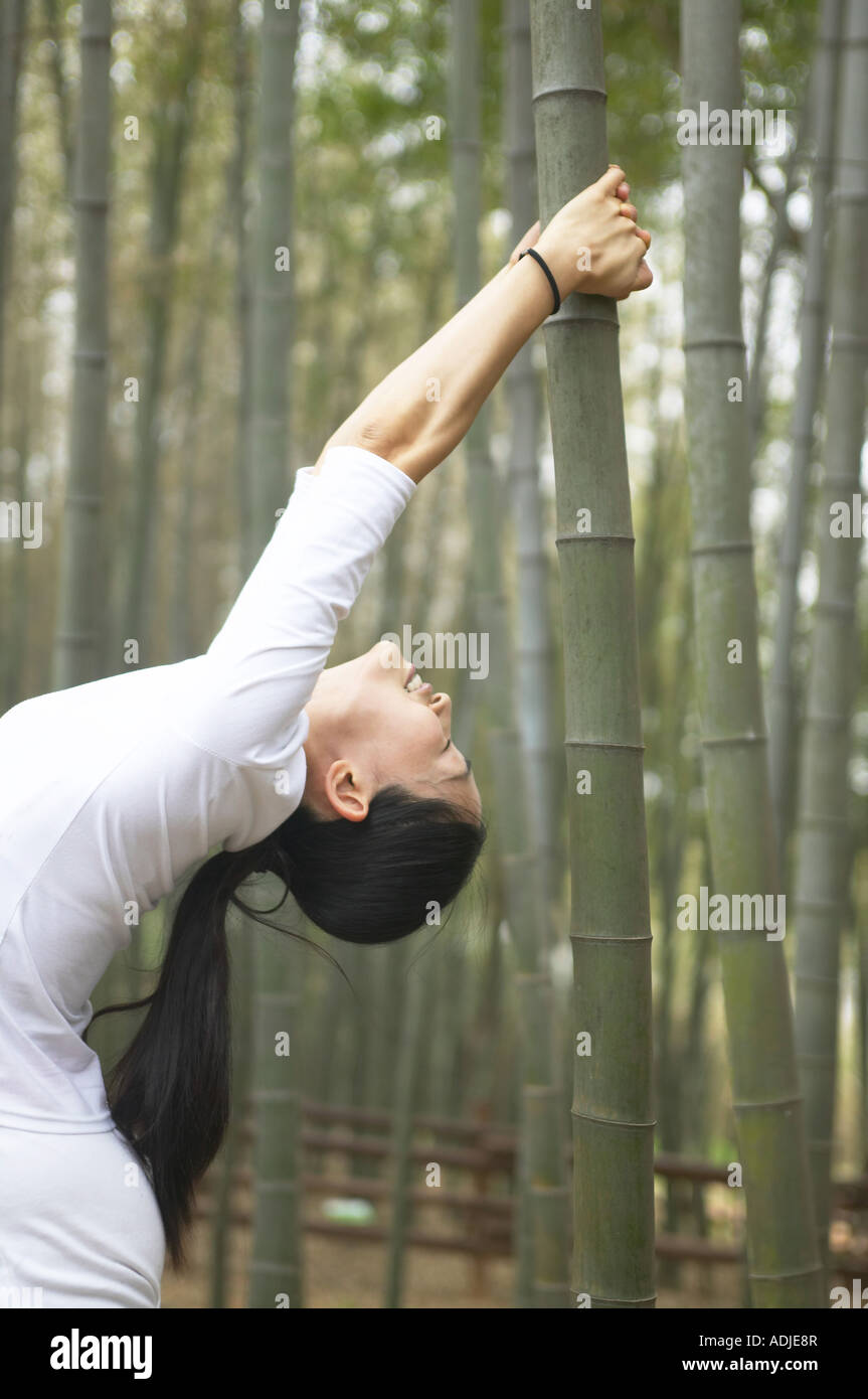 a stretching woman in bamboo trees Stock Photo - Alamy