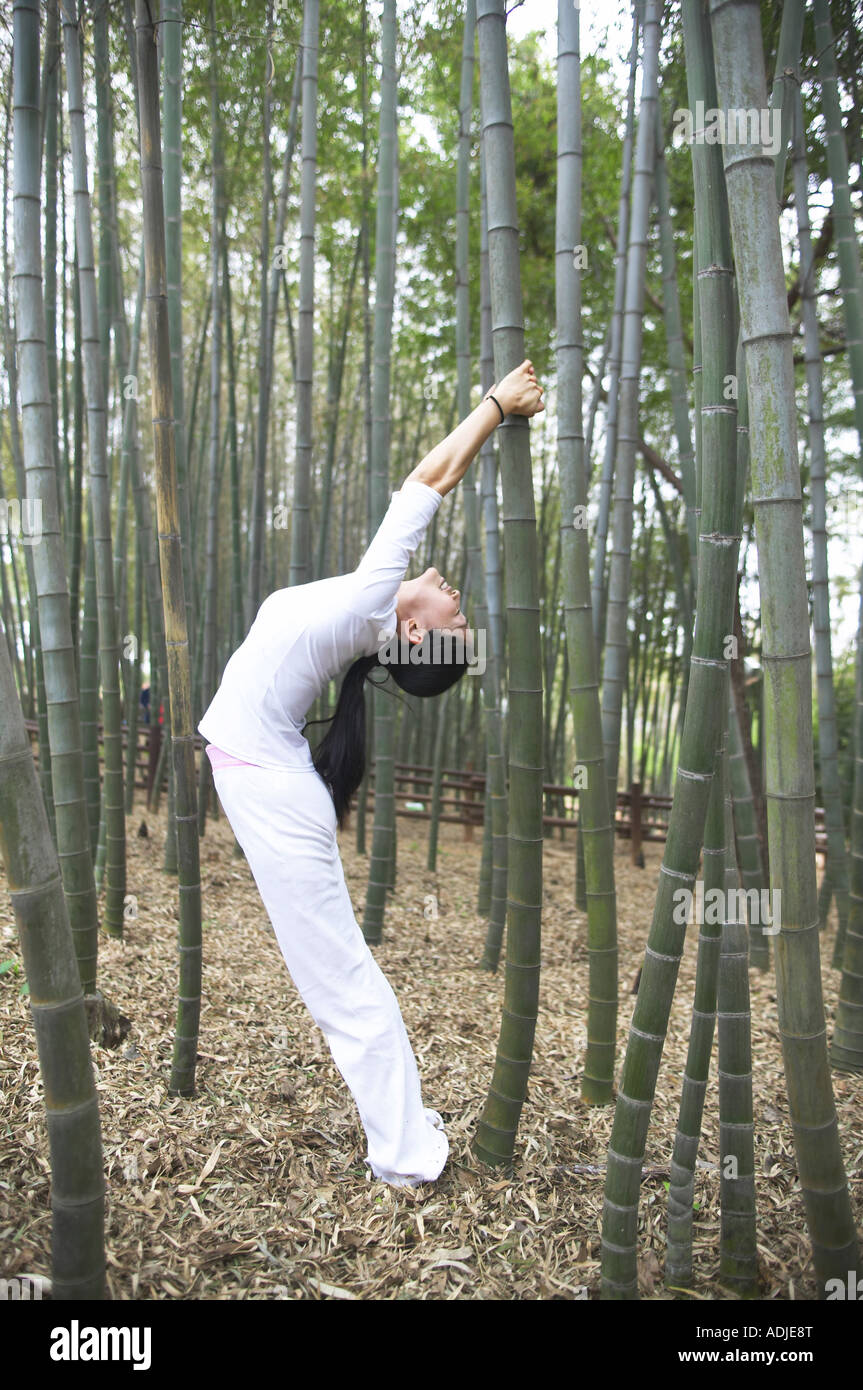 a stretching woman in bamboo trees Stock Photo - Alamy
