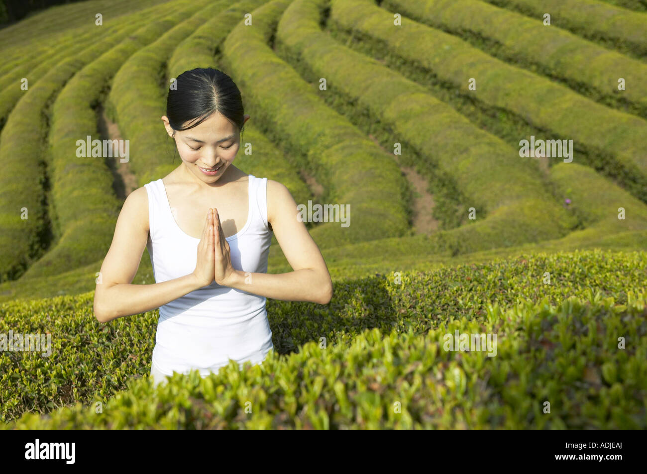 a woman doing Yoga in a tea field Stock Photo - Alamy