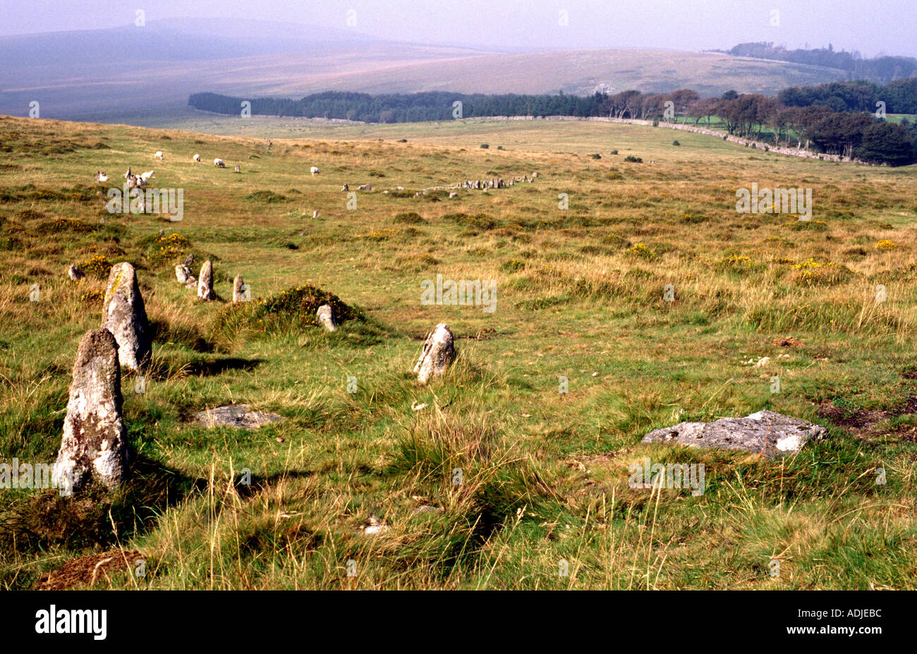 The Bronze Age stone rows of Shovel Down on Dartmoor Devon England ...