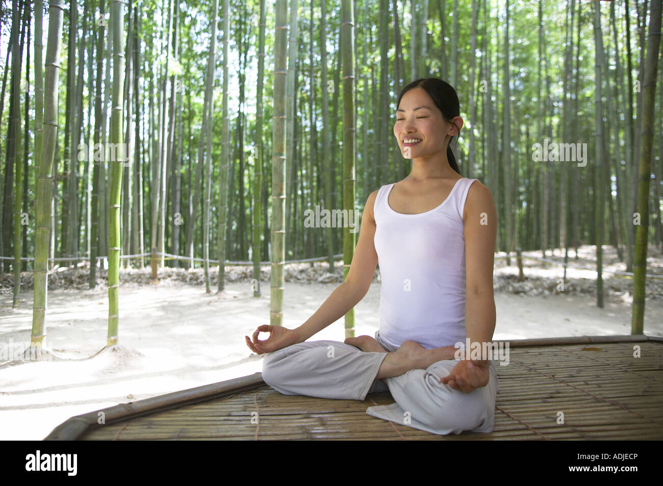a woman doing Yoga at a pavilion in a bamboo tree forest Stock Photo ...