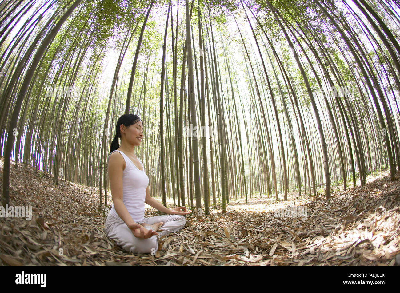 a woman doing Yoga at a pavilion in a bamboo tree forest Stock Photo ...