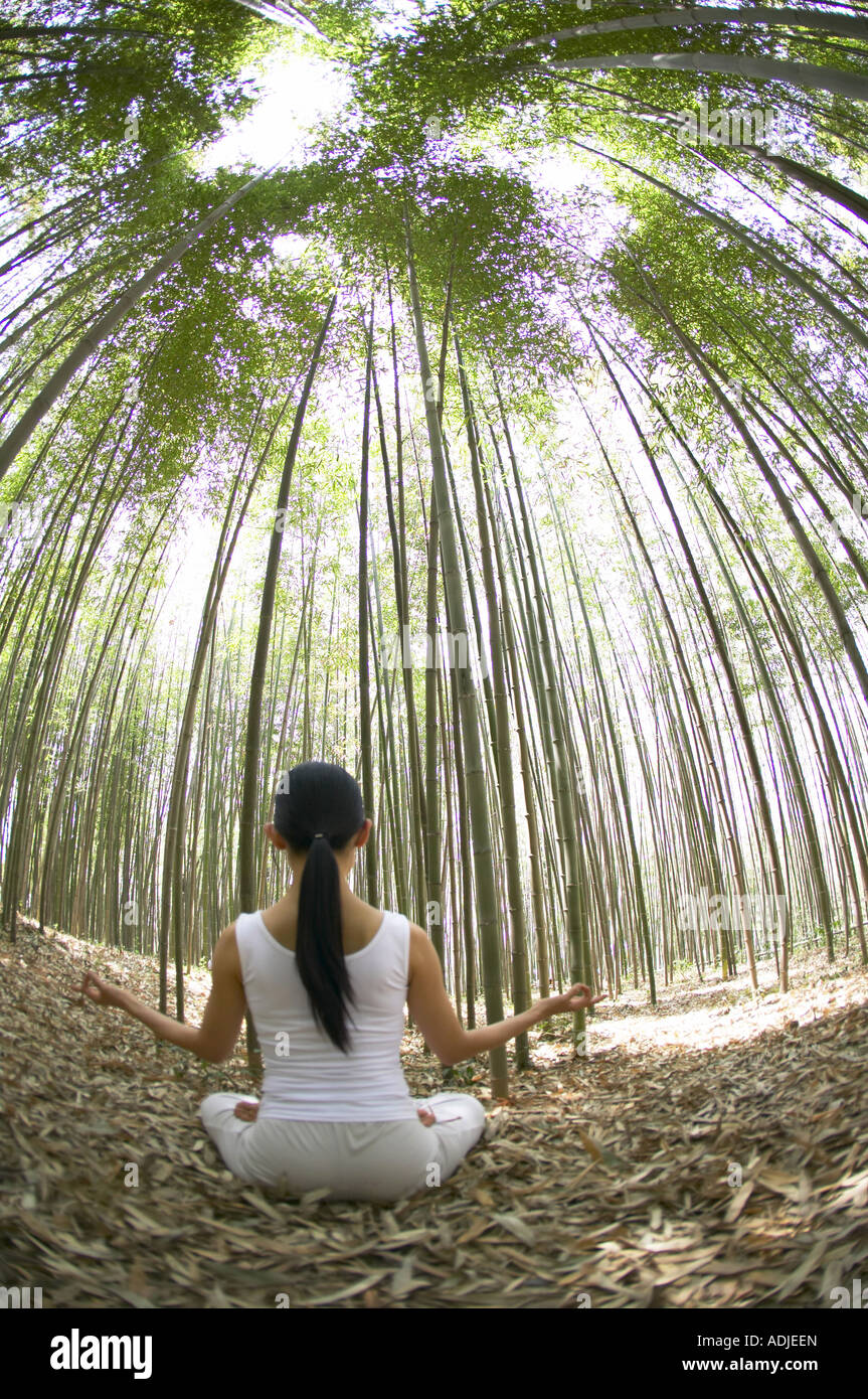 a woman doing Yoga at a pavilion in a bamboo tree forest Stock Photo ...