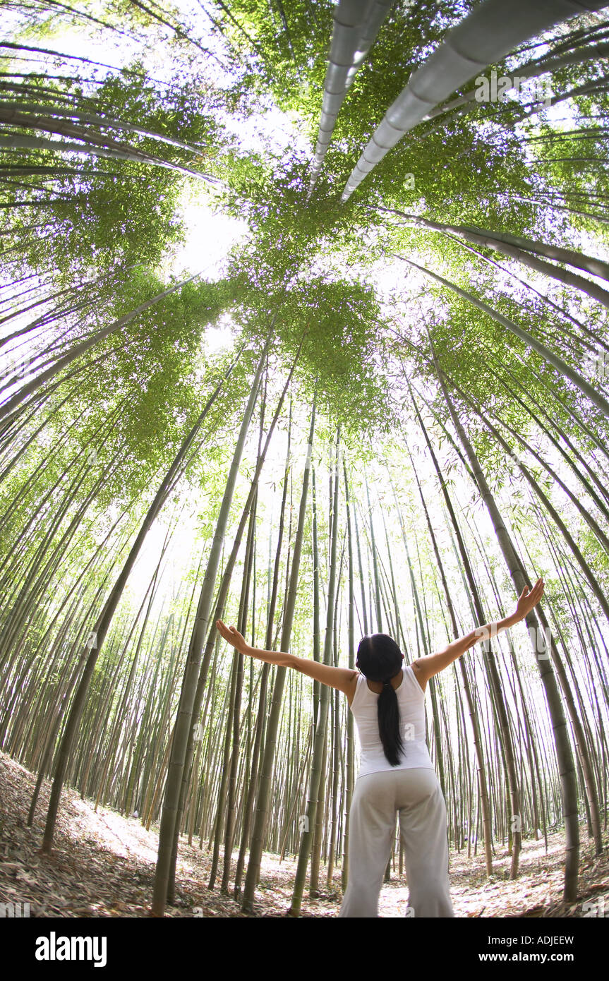 a woman doing Yoga in a bamboo tree forest Stock Photo - Alamy