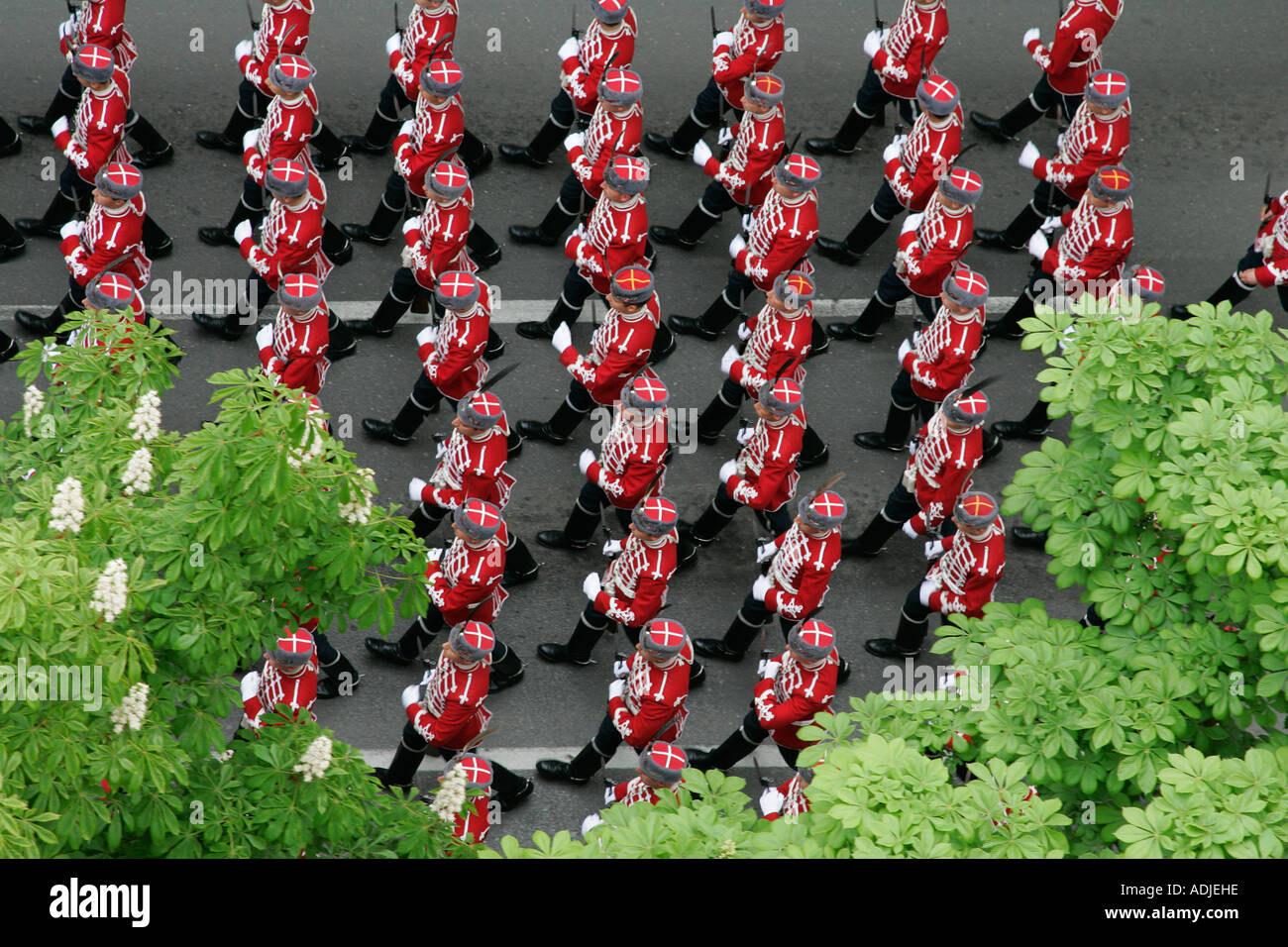 Guardsmen march in step at military parade column Officer Cadets ...