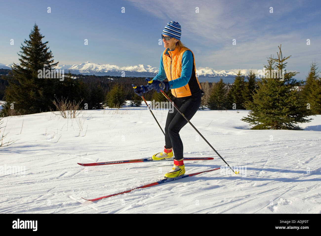 Woman nordic sking at Baycrest ski trails Homer Alaska Kenai Peninsula ...