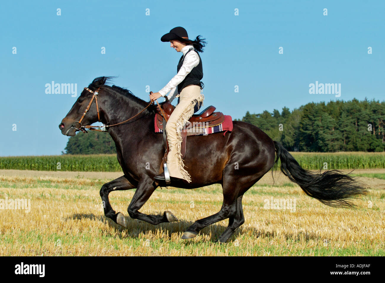 Pony horse riding gallop western hi-res stock photography and images ...