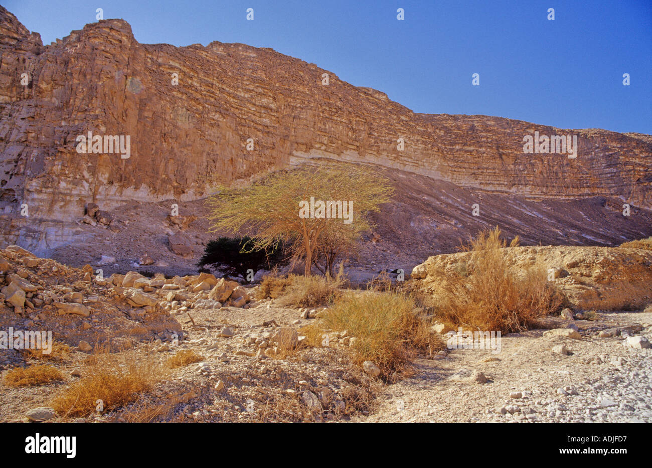 Desert Aspect 1 Stock Photo - Alamy