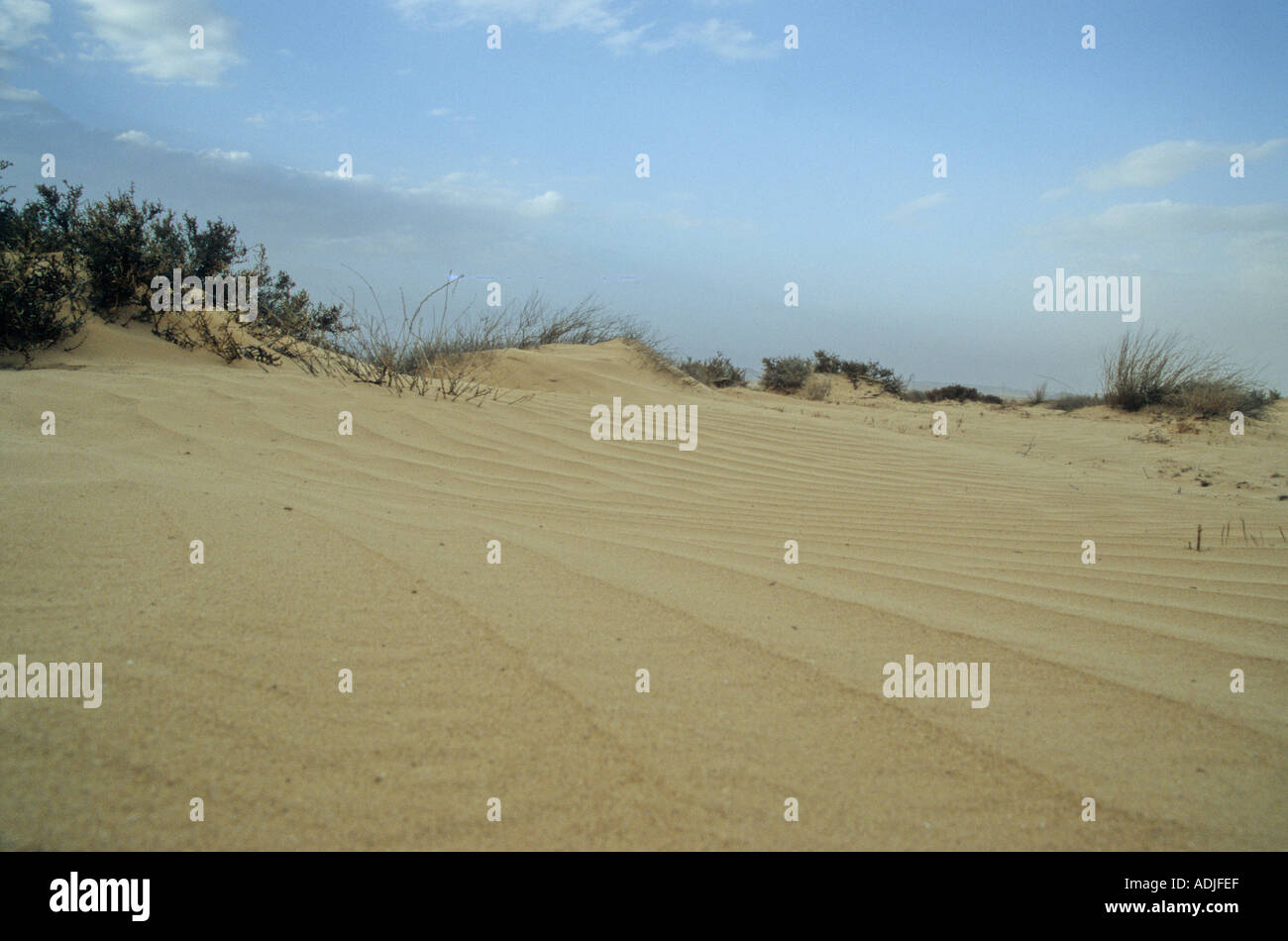 Desert Sand 1 Stock Photo - Alamy