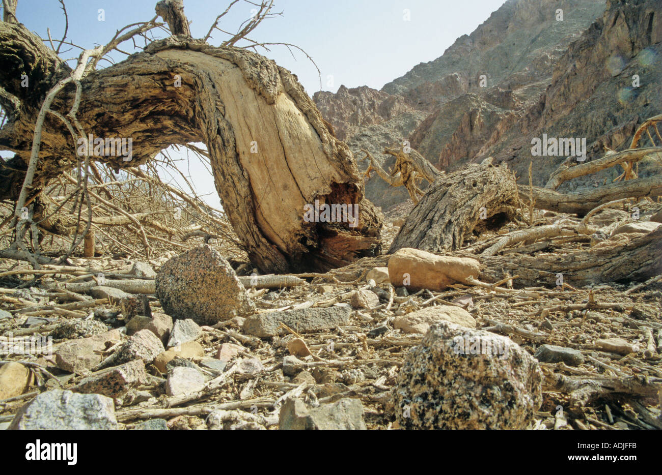 Desert Sculpture 5 Stock Photo - Alamy