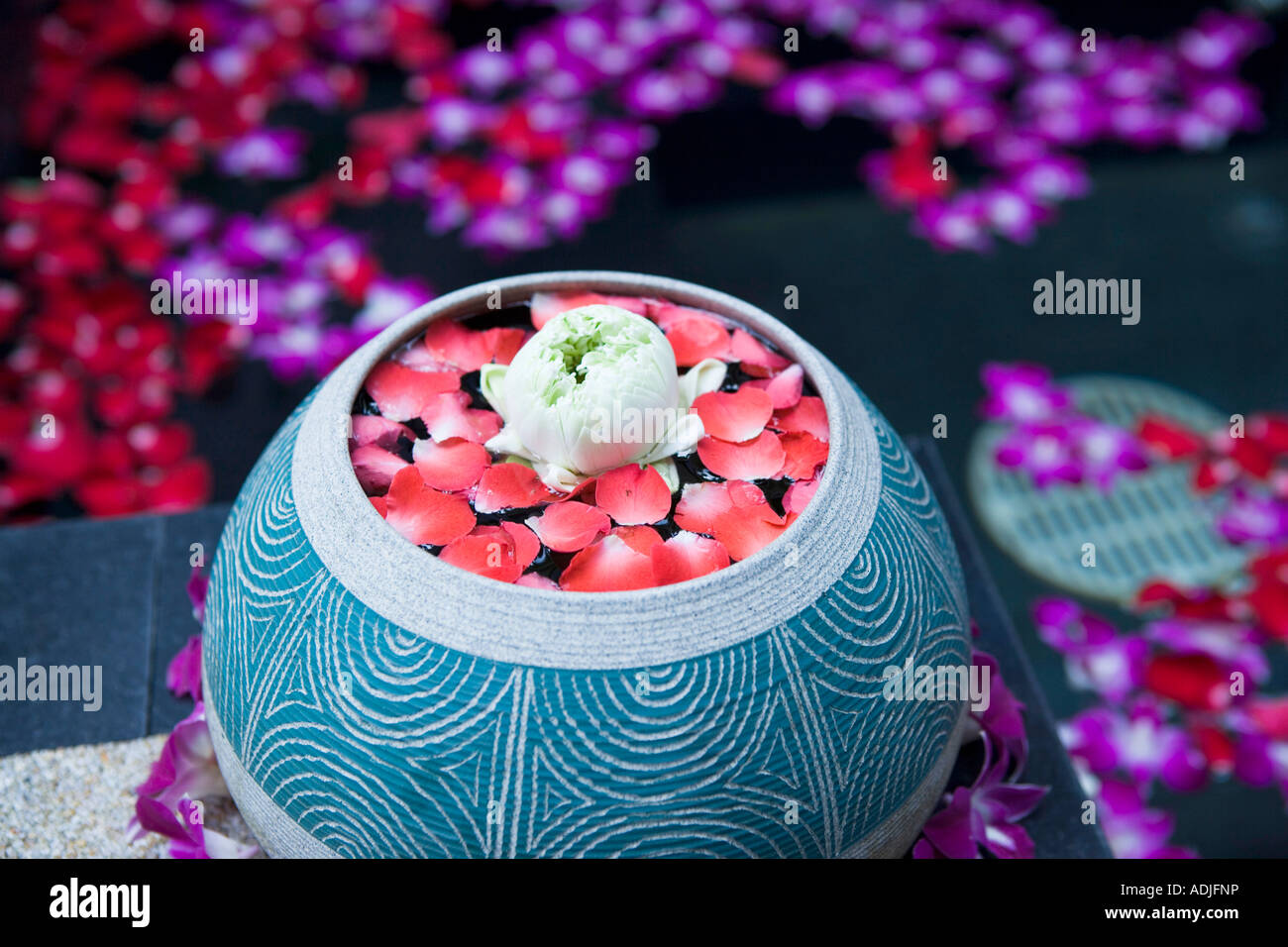 spa flowers in a pot Stock Photo - Alamy