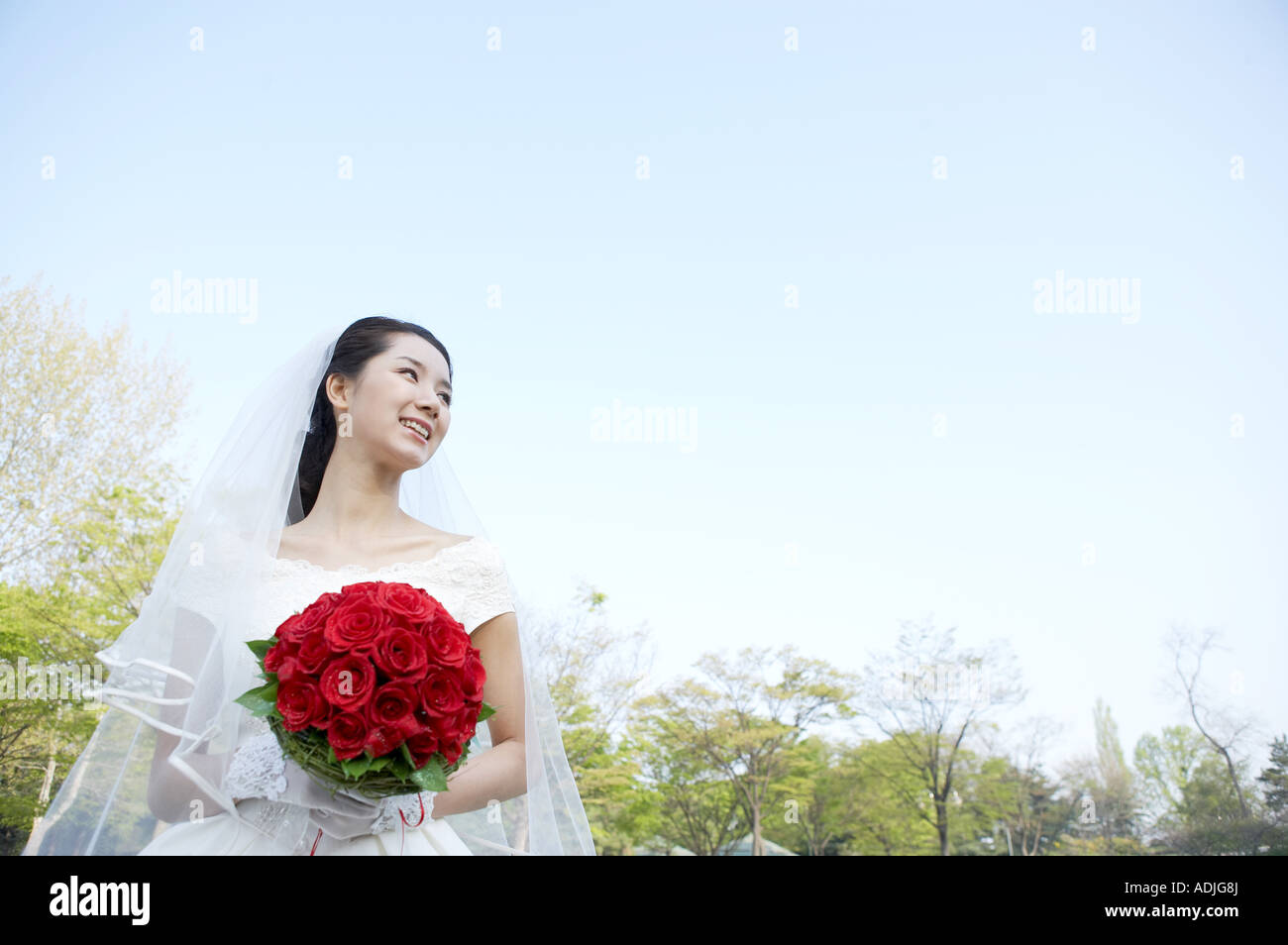Wedding a bride holding a bouquet Stock Photo - Alamy