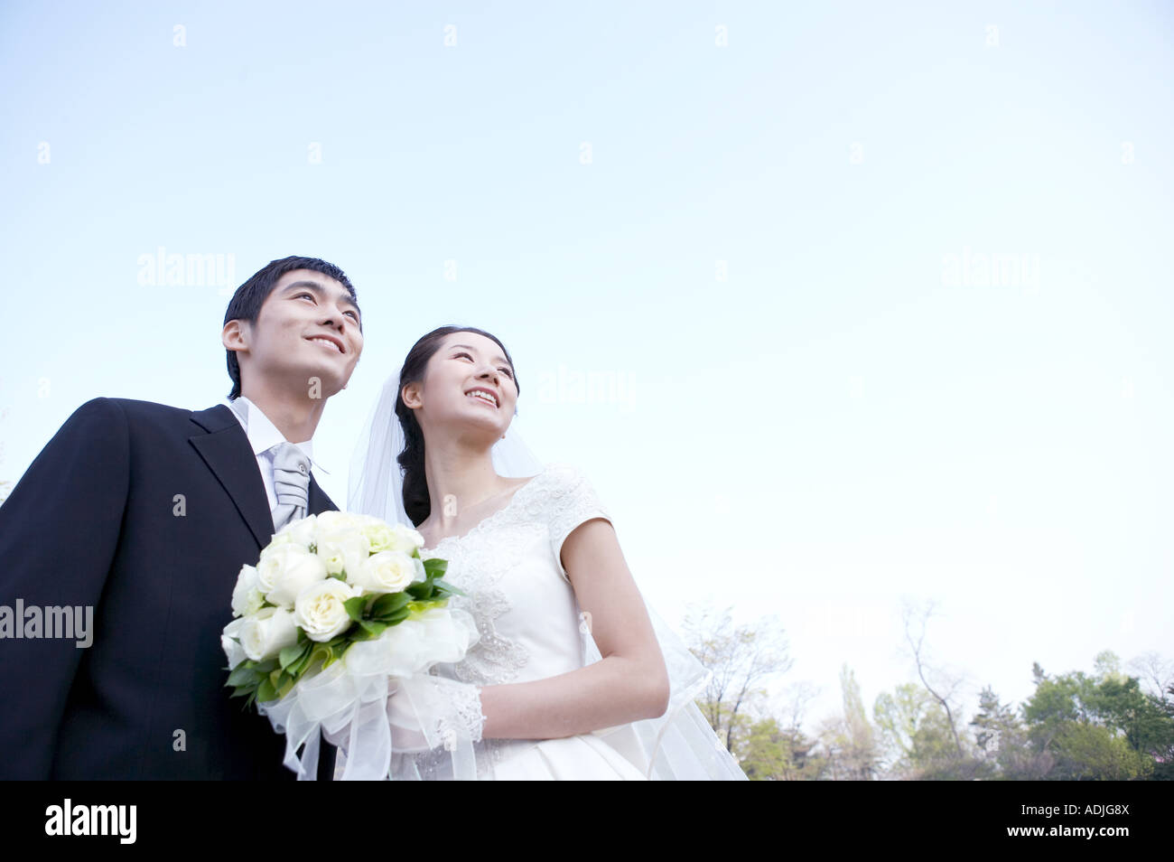 Wedding a bridegroom and a bride Stock Photo - Alamy