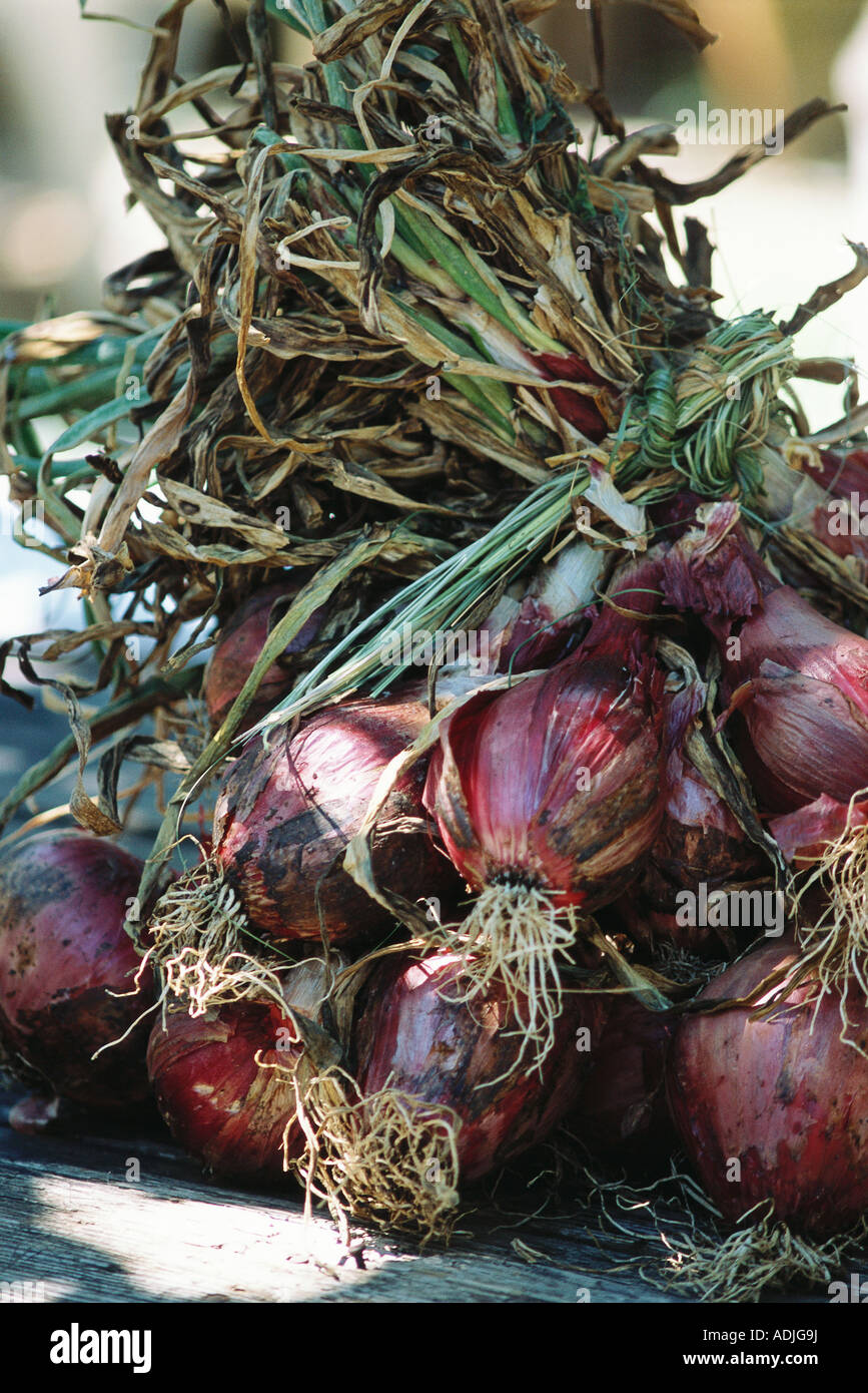 Peeling red onion close hi-res stock photography and images - Alamy