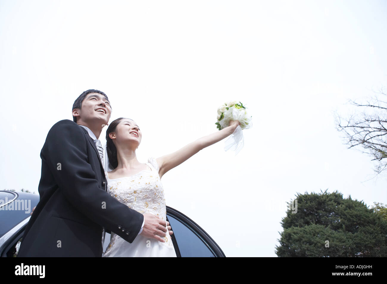 Wedding a bridegroom and a bride Stock Photo - Alamy