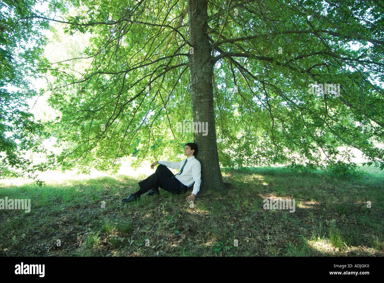 Businessman sitting under tree Stock Photo - Alamy