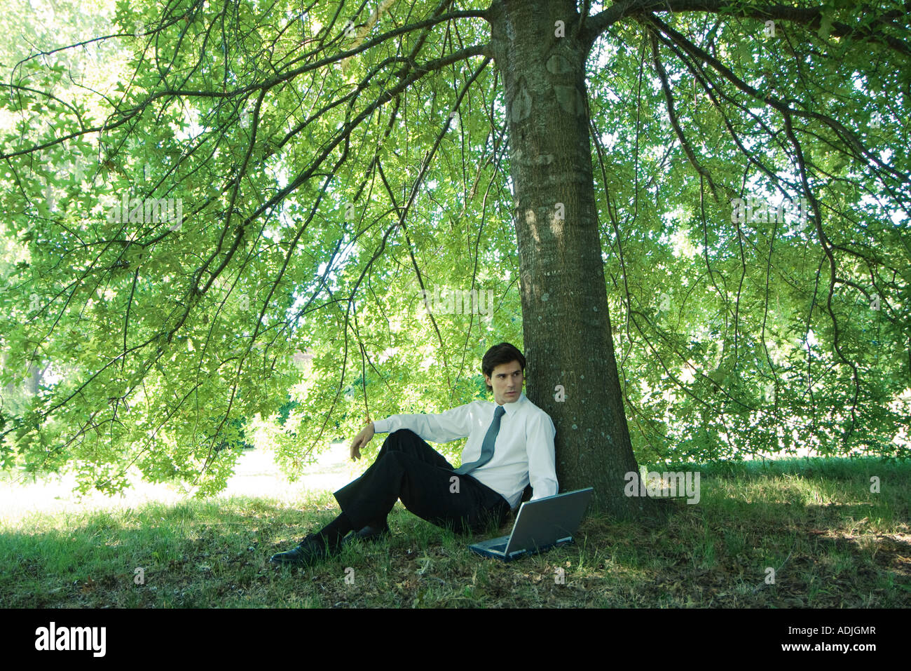 Businessman sitting under tree, using laptop Stock Photo - Alamy