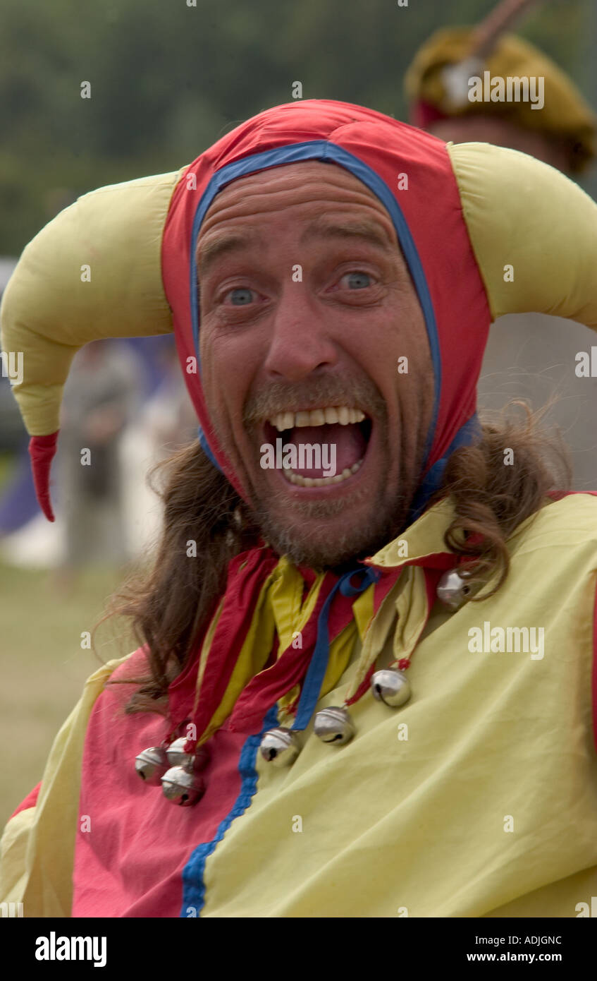 jester joker laughing Stock Photo - Alamy