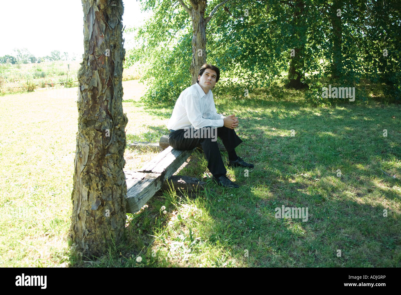 Bench beneath trees hi-res stock photography and images - Alamy