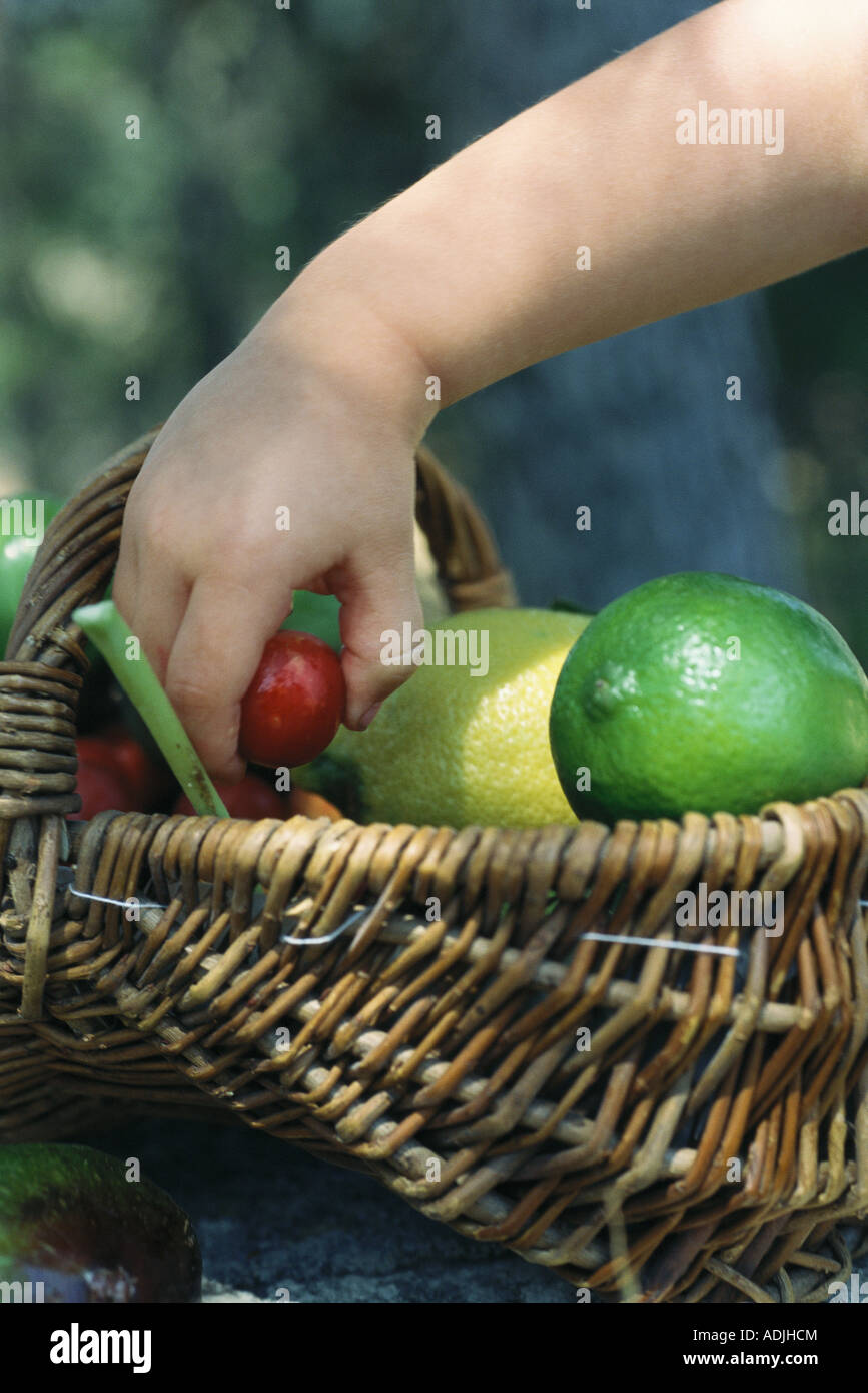 Child reaching for fruit in basket full of fresh produce Stock Photo ...