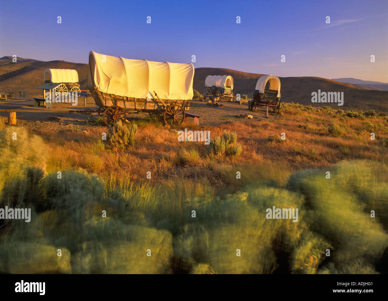 Covered wagons at Oregon Trail Interpretive Center Near Baker City ...