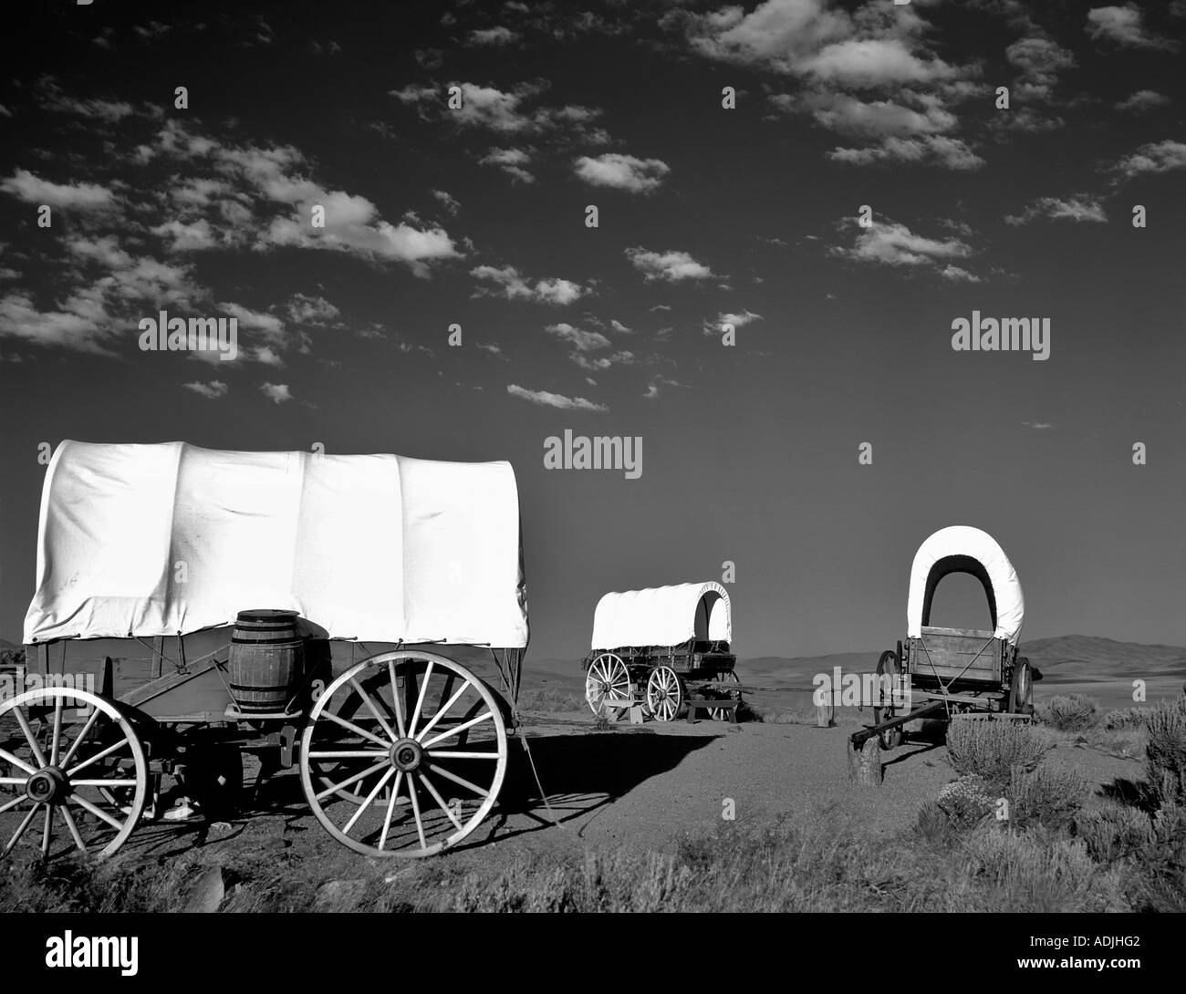 Covered wagons of the oregon trail Black and White Stock Photos ...