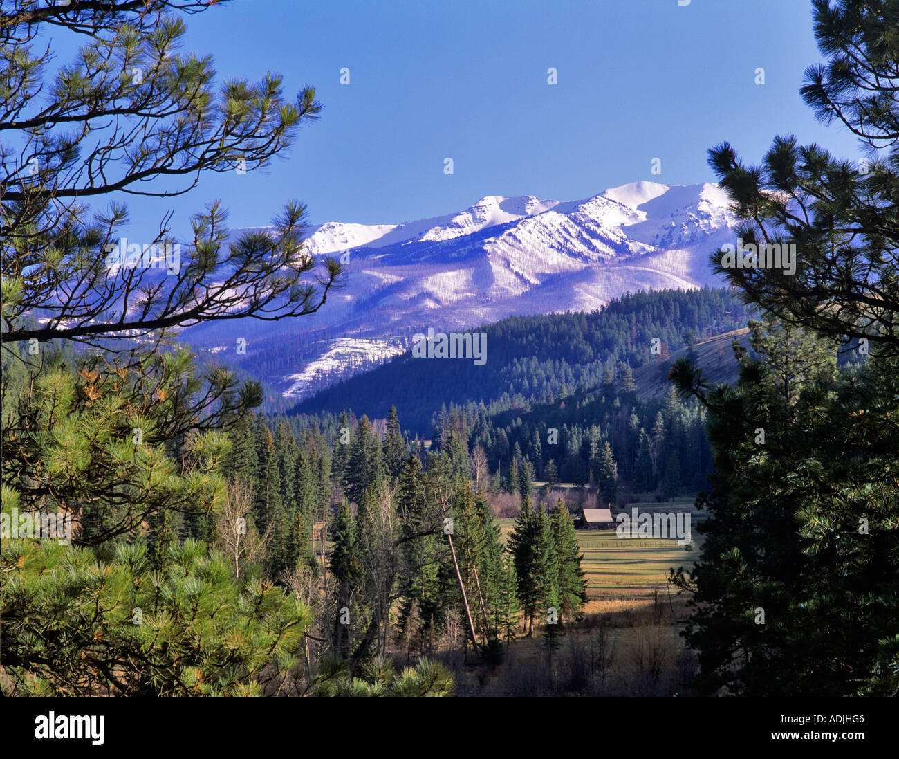 Barn and Wallowa Mountains with new snow Oregon Stock Photo - Alamy