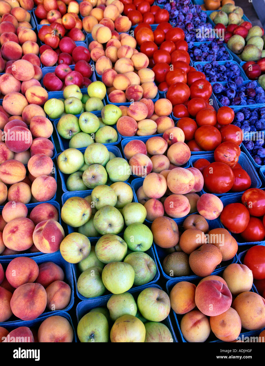 F00216M tiff Rows of fruit for sale at Deterings Orchard Oregon Apples ...