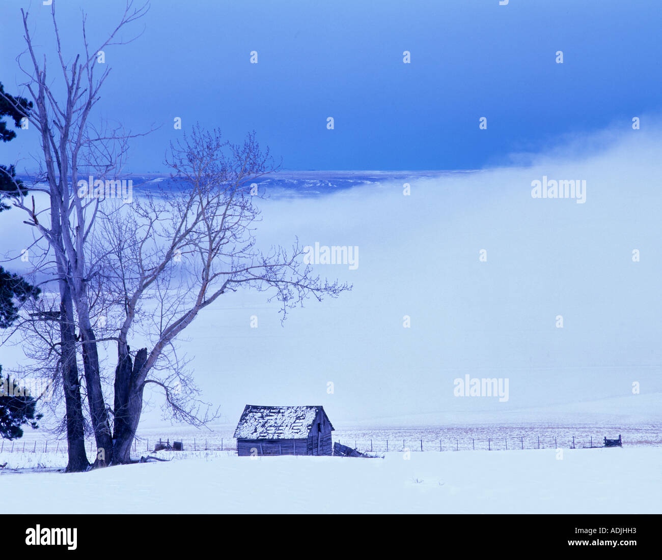 Barn snow and fog Near Joseph Oregon Stock Photo - Alamy