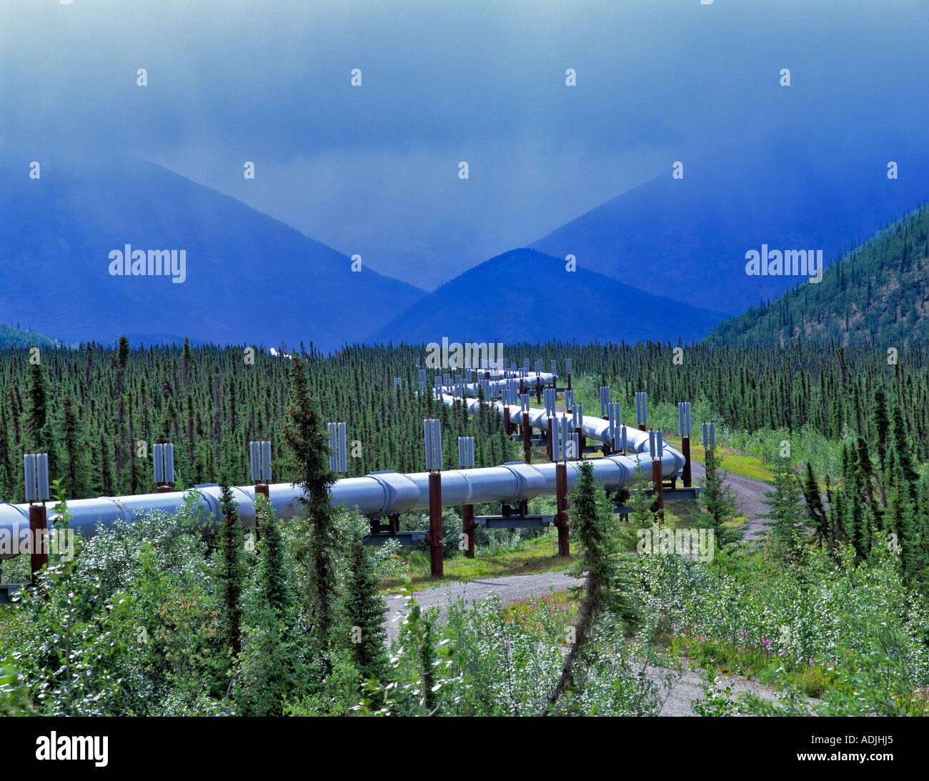 Coldfoot Alaska High Resolution Stock Photography and Images - Alamy