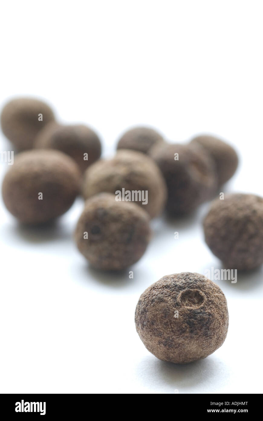 Allspice, Dried allspice fruits, Piment, Pimento Stock Photo - Alamy
