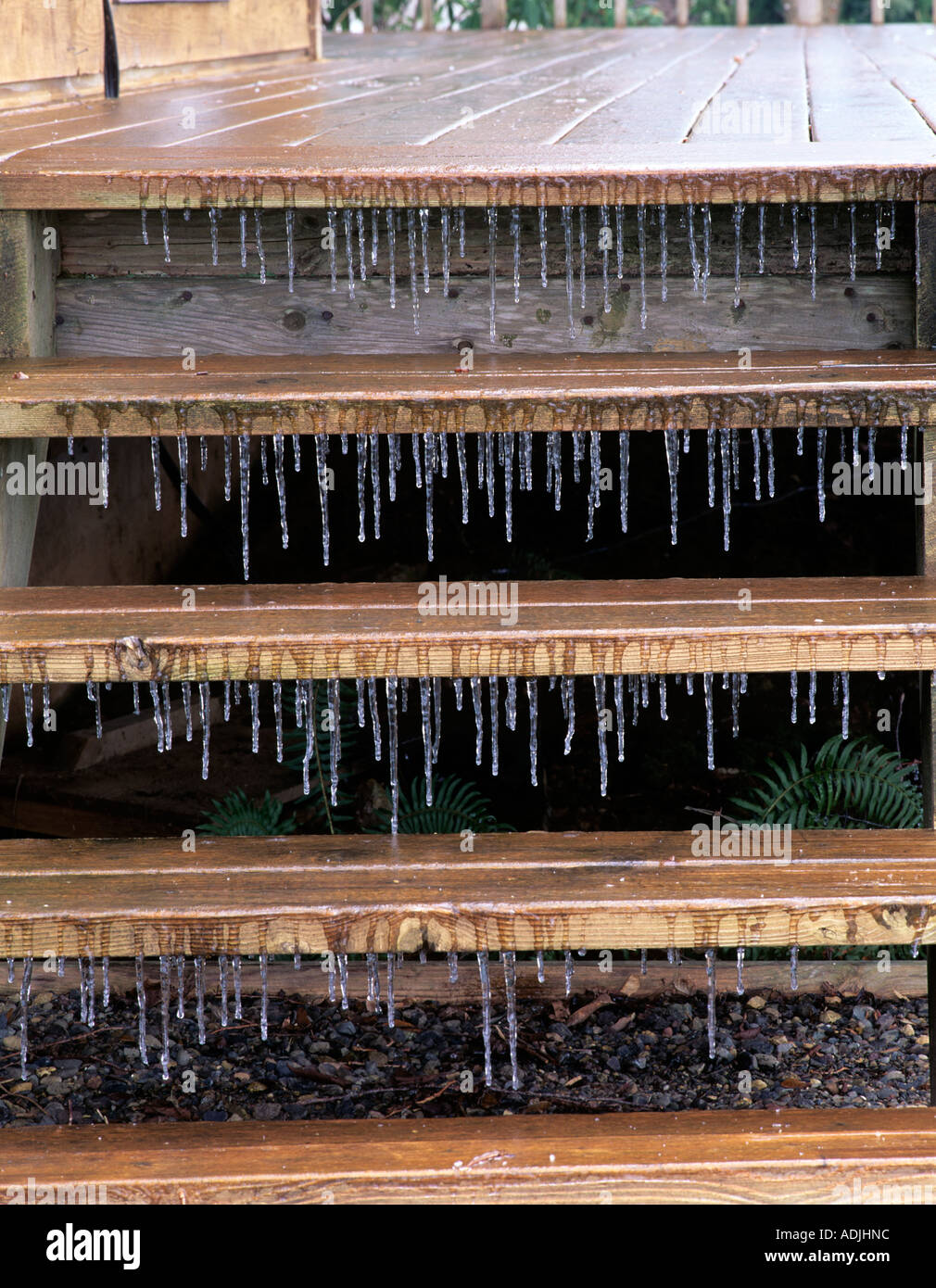 Ice on steps from freezing rain storm Near Alpine OR Stock Photo - Alamy