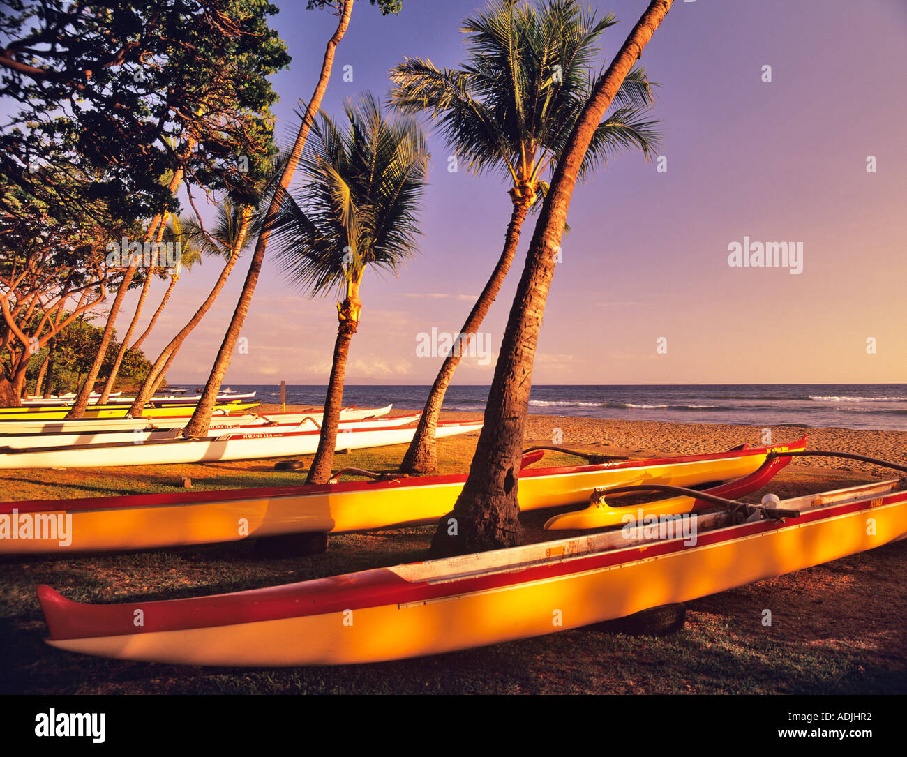 Canoes lined up for upcoming boat race Launiupoko State Wayside Park ...
