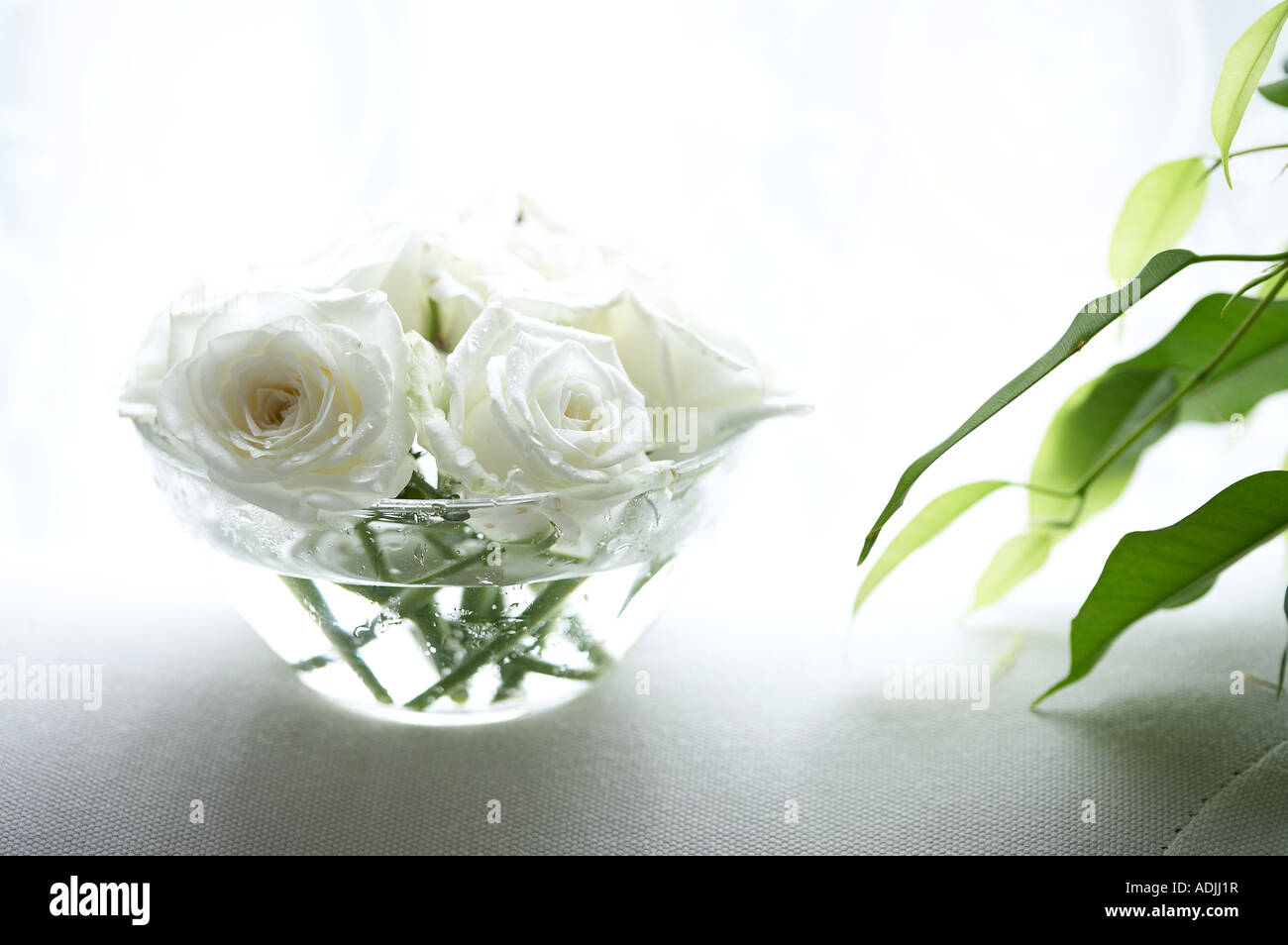 flower decoration decorated rose Stock Photo - Alamy