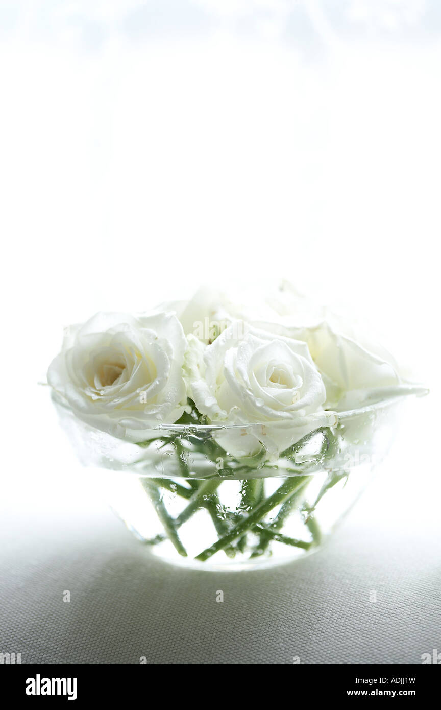 Rose decorated hi-res stock photography and images - Alamy