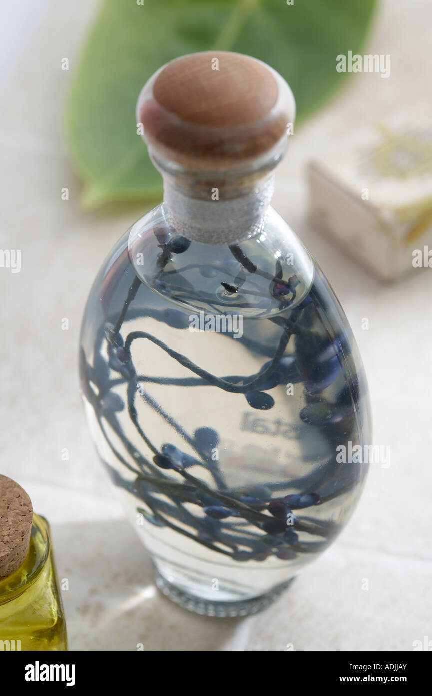 one bottle of cologne Stock Photo - Alamy