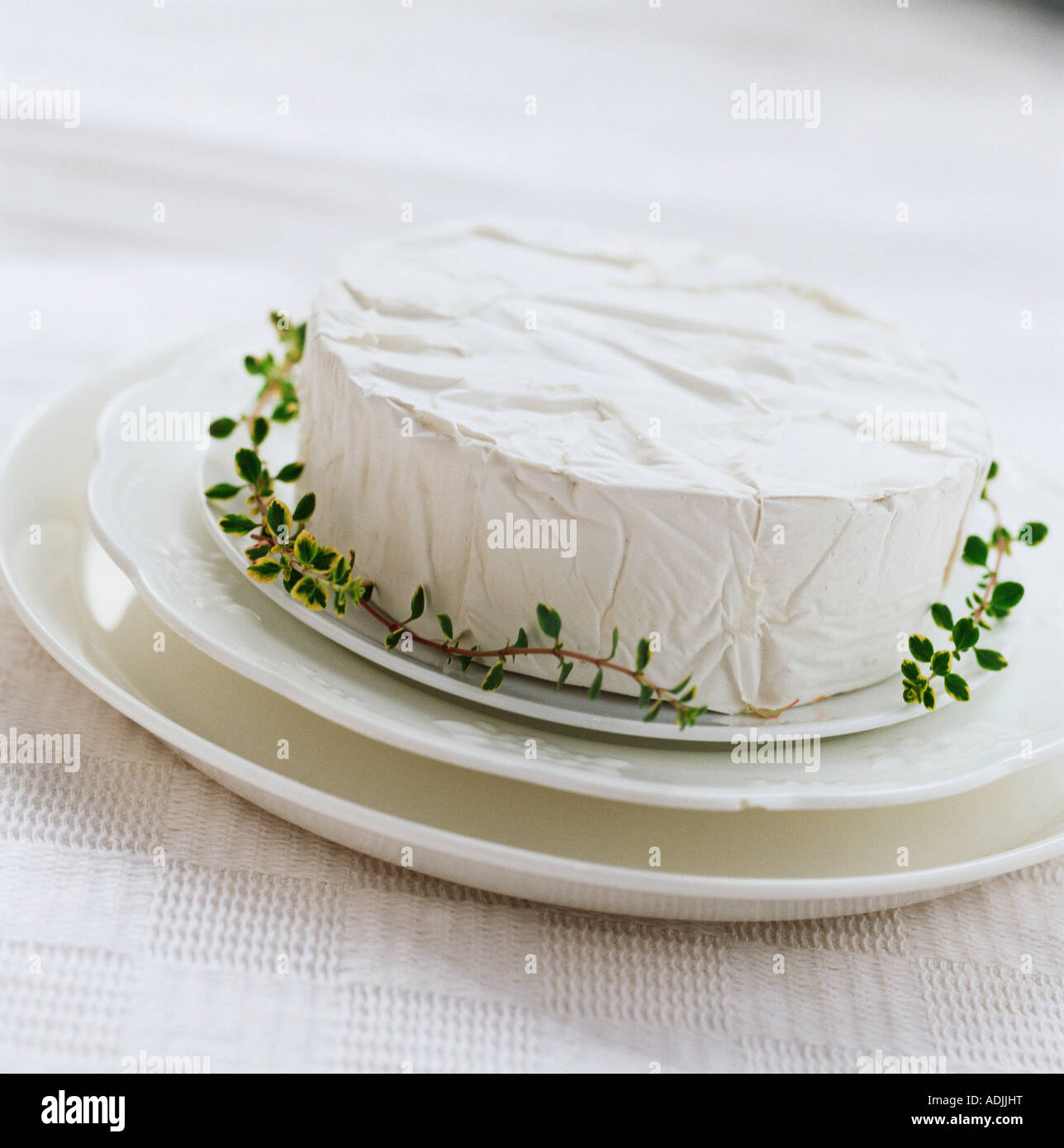brie cheese plate dish buds cheese dairy food Stock Photo - Alamy