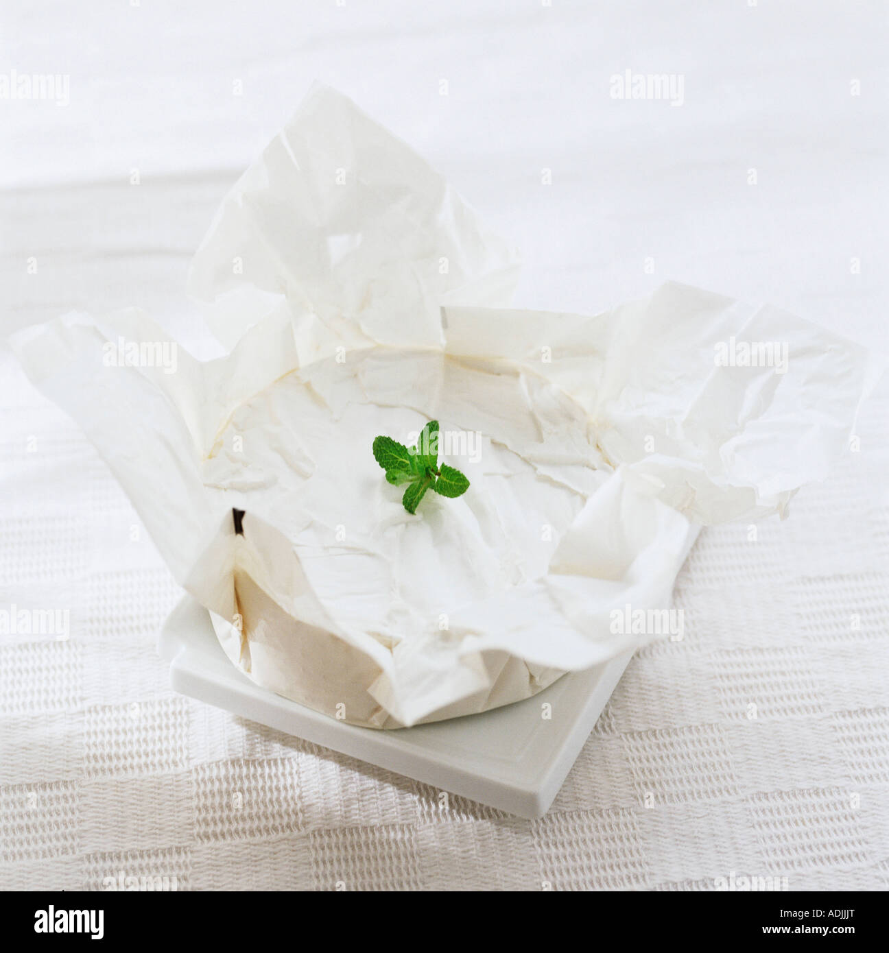 dairy products food cheese brie cheese buds Stock Photo - Alamy