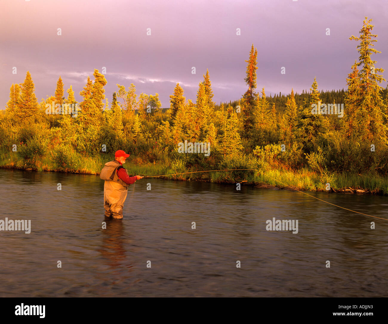 Alaska trout fly fishing hi-res stock photography and images - Alamy