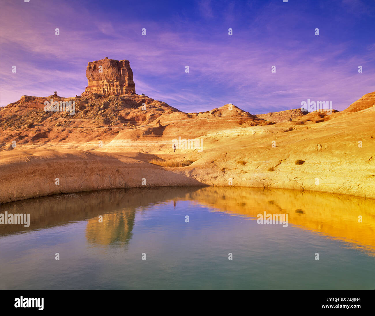 Hiker near reflection pool on banks of Lake Powell Utah Stock Photo - Alamy