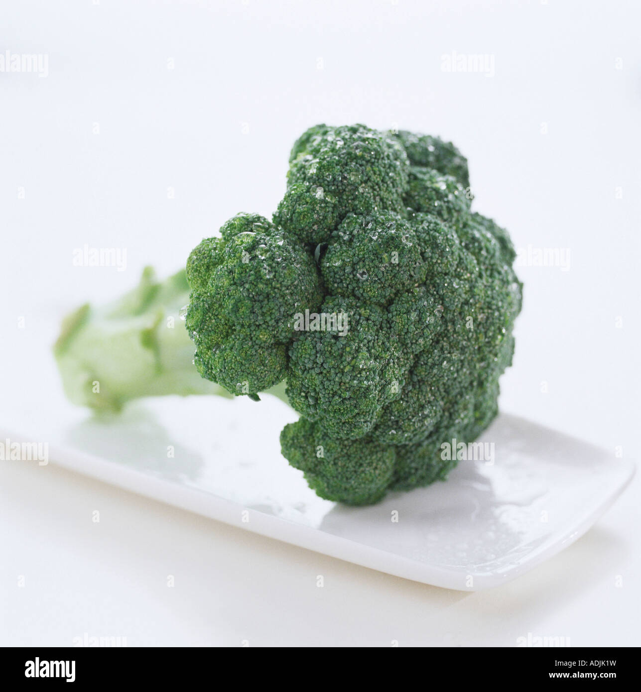 A broccoli on the plate Stock Photo - Alamy