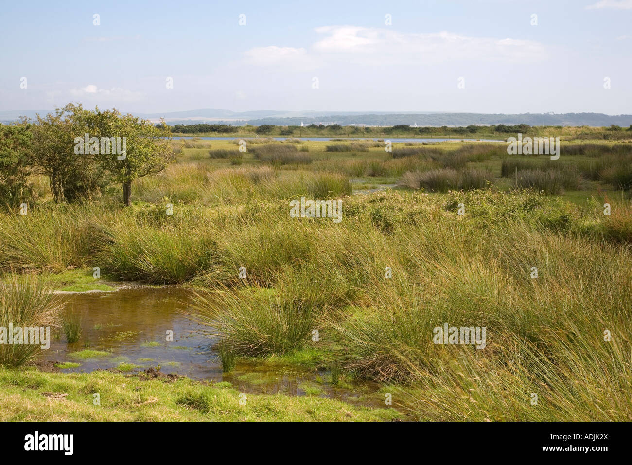 View across Keyhaven and Pennington Marshes New Forest Hants UK Stock ...