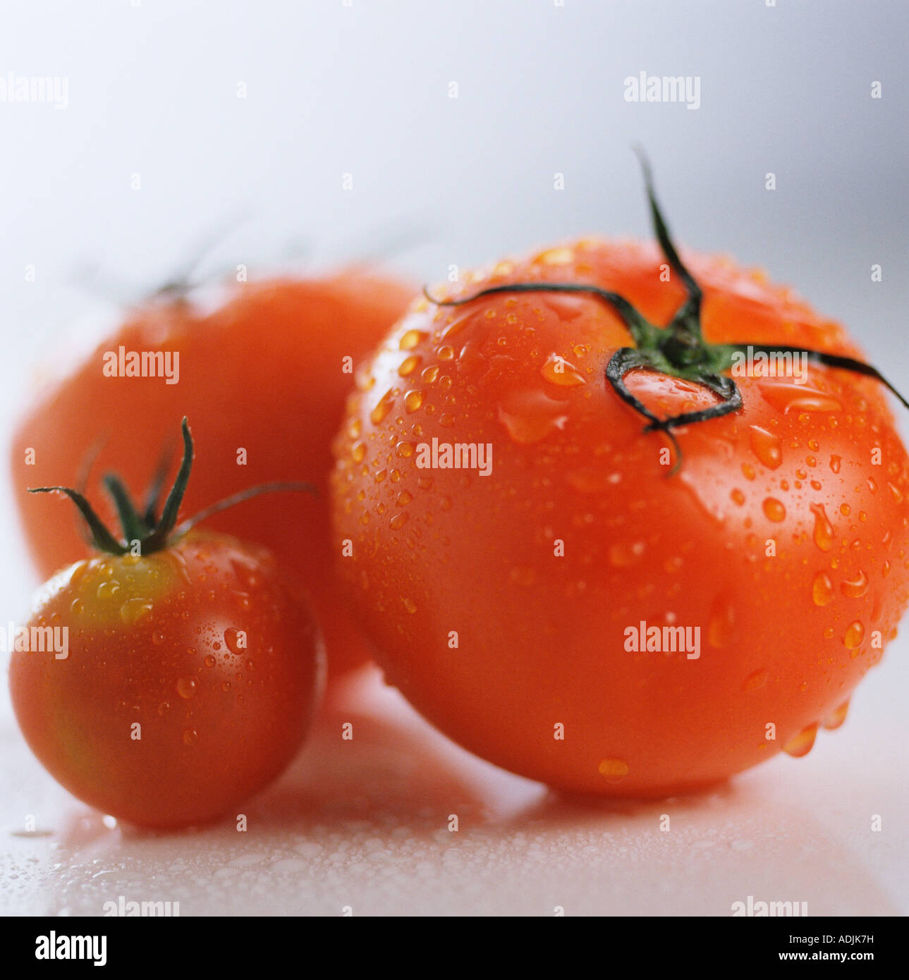 Big and small tomatoes Stock Photo - Alamy