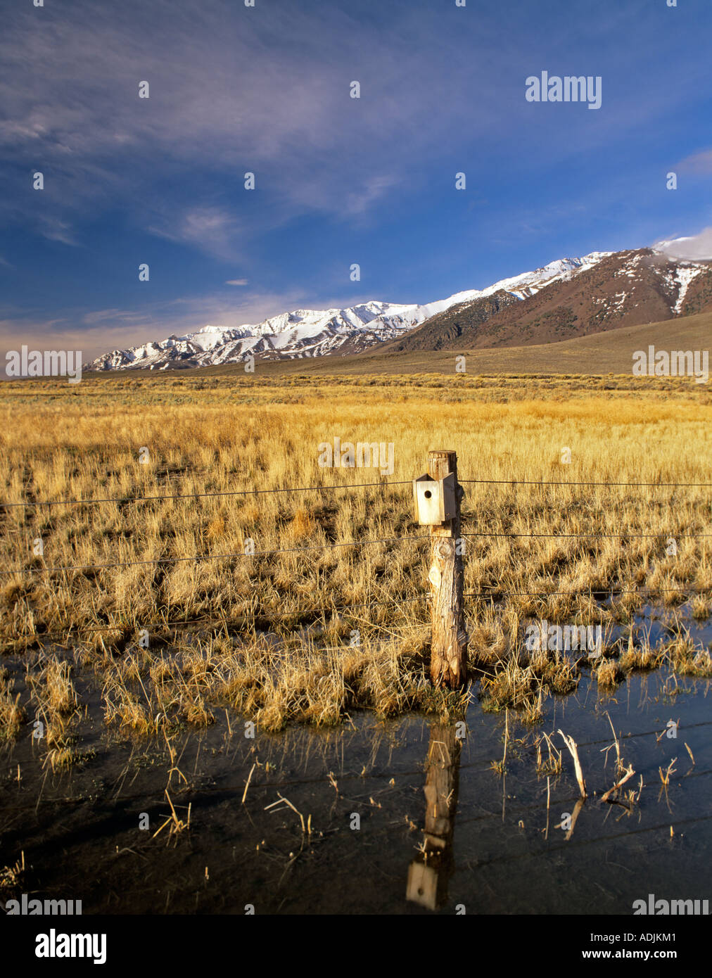 Birdhouse on shore of Mann Lake with Steens Mountain Oregon Stock Photo ...