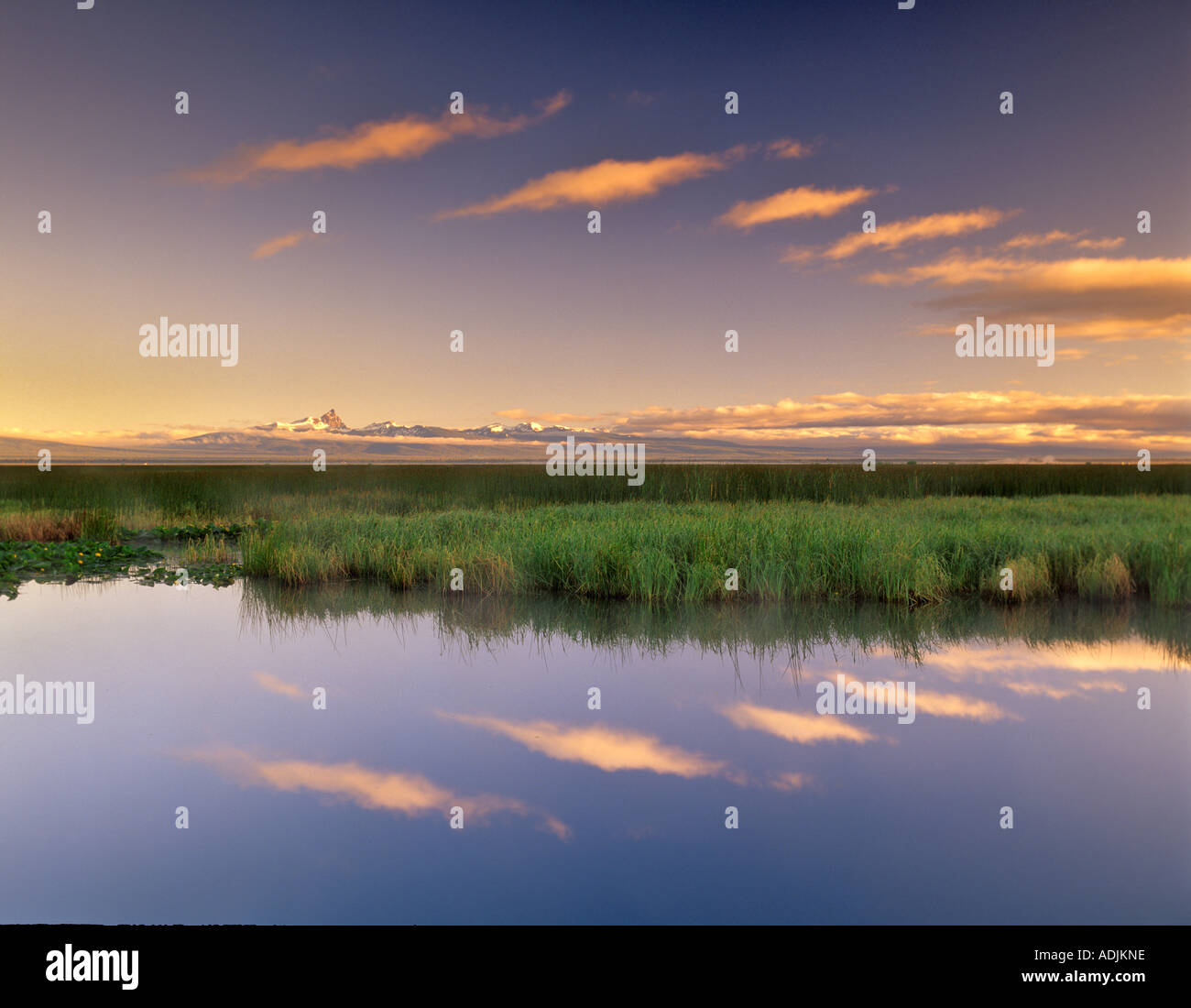 Unique cloud pattern over Kalamath Marsh with Mount Thielsen Oregon ...